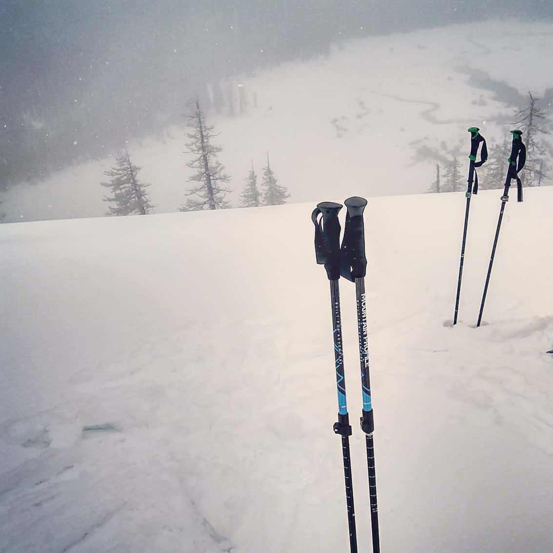 Hike with a Snow Scientist - Trail Scholar
