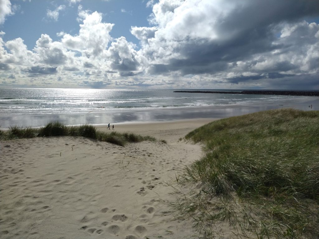 Hike with a Dune Scientist - Trail Scholar